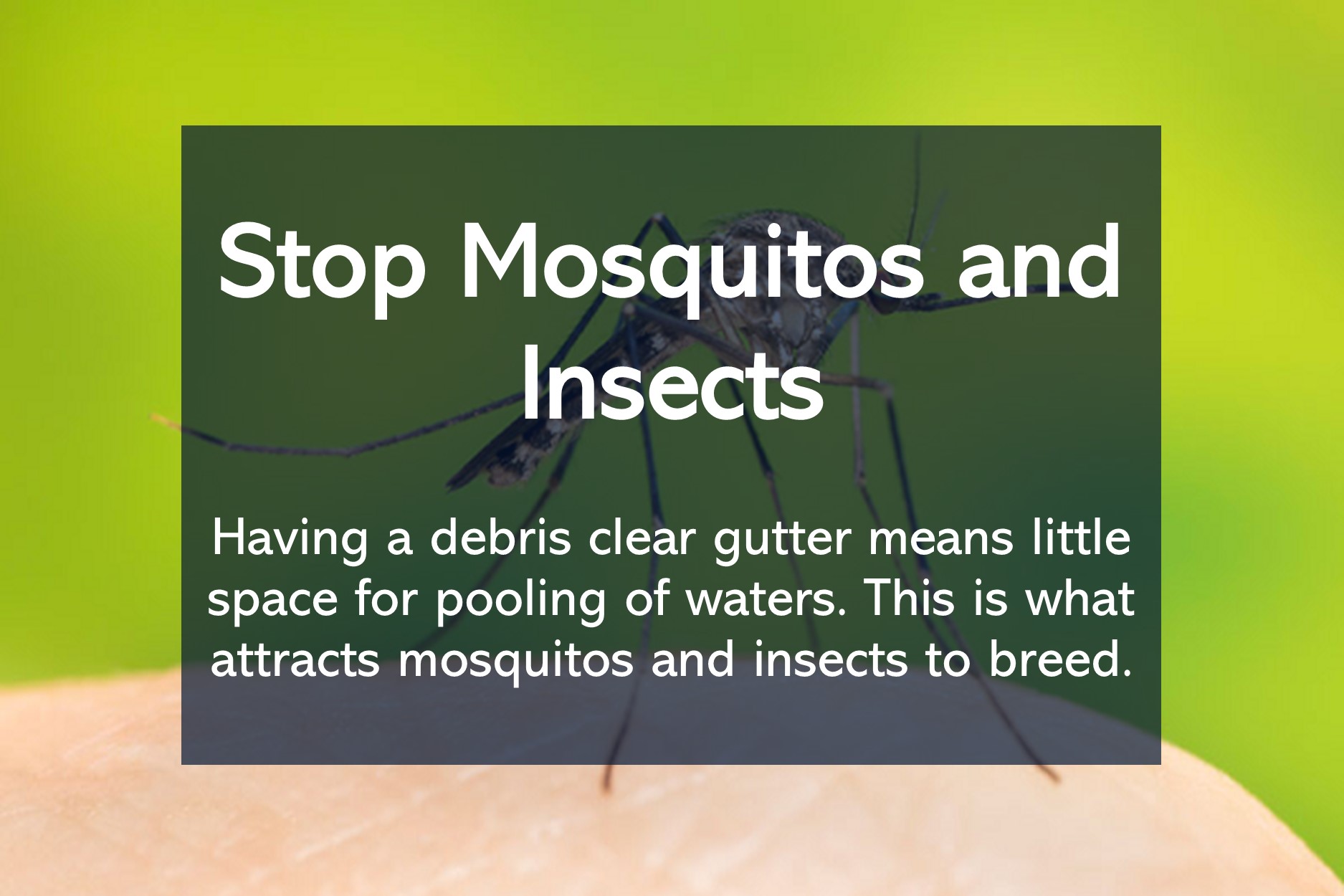 Gutter Foam | Gutter Protection | Gutter Guard Auckland NZ